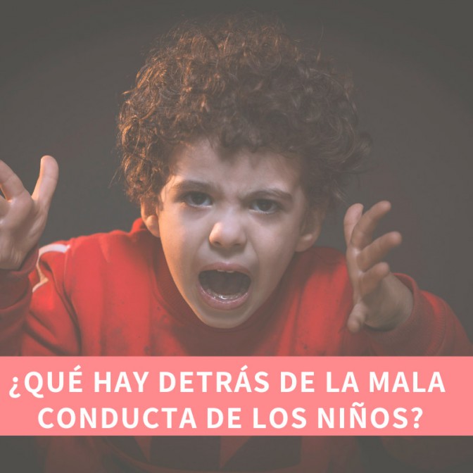 mala conducta – Centro Revincularse